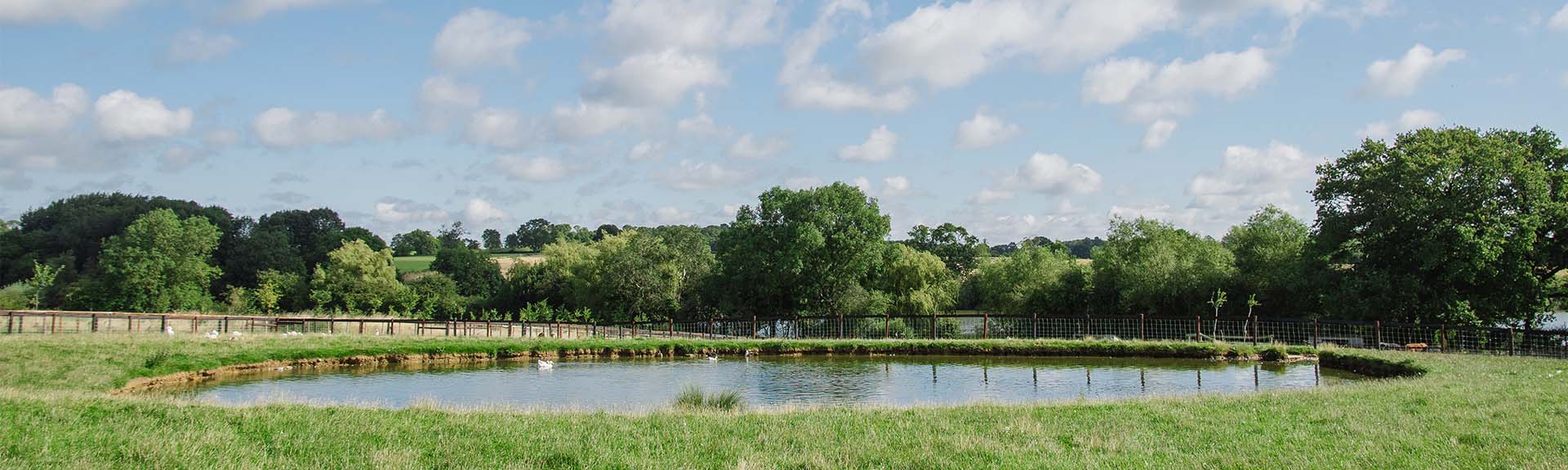 Contact - Mini Meadows Childrens Farm Northampton