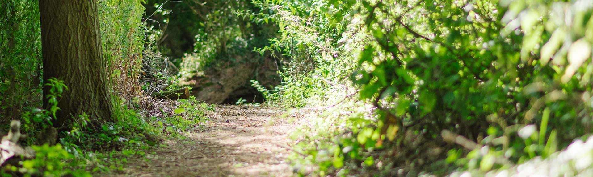 Book now - Mini Meadows Childrens Farm Northampton