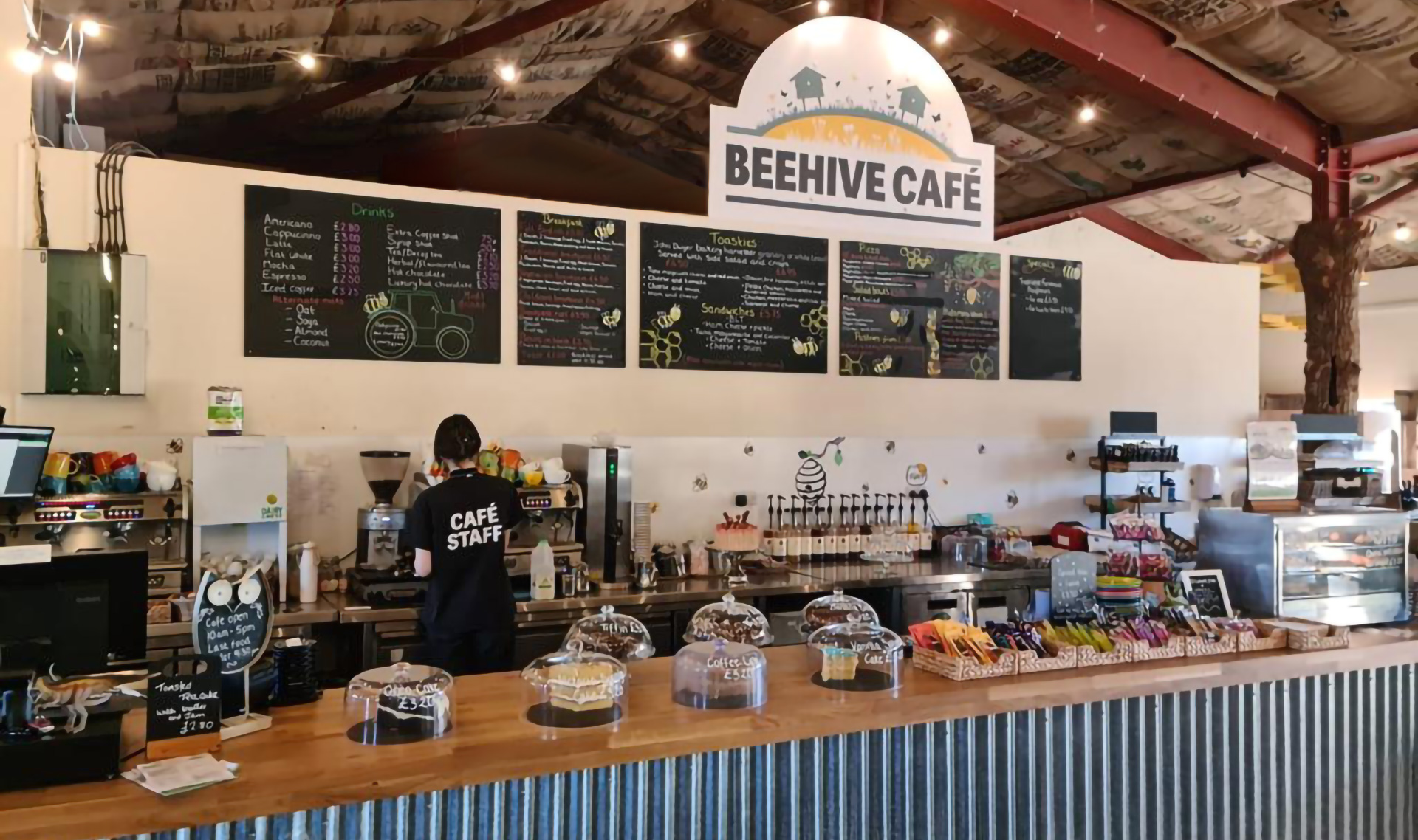 Are Dogs Allowed At Mini Meadows Farm